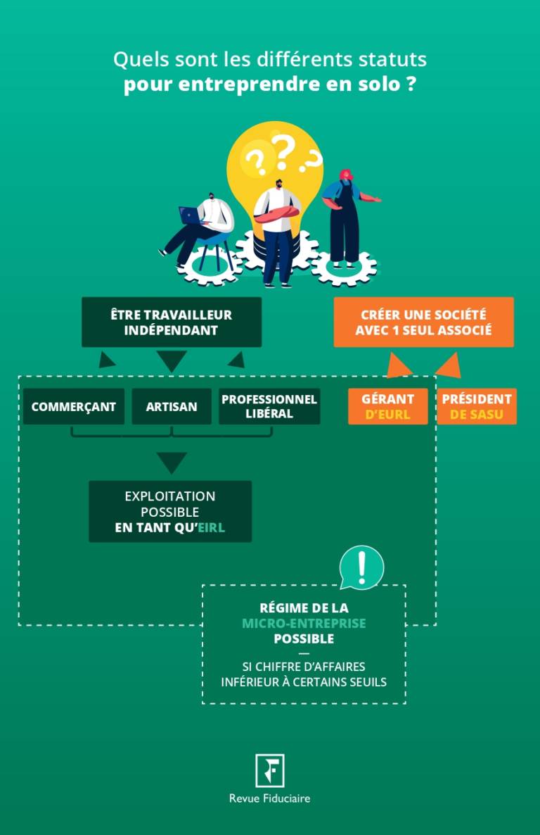 Quels sont les différents statuts pour entreprendre en solo ? - RF Blog